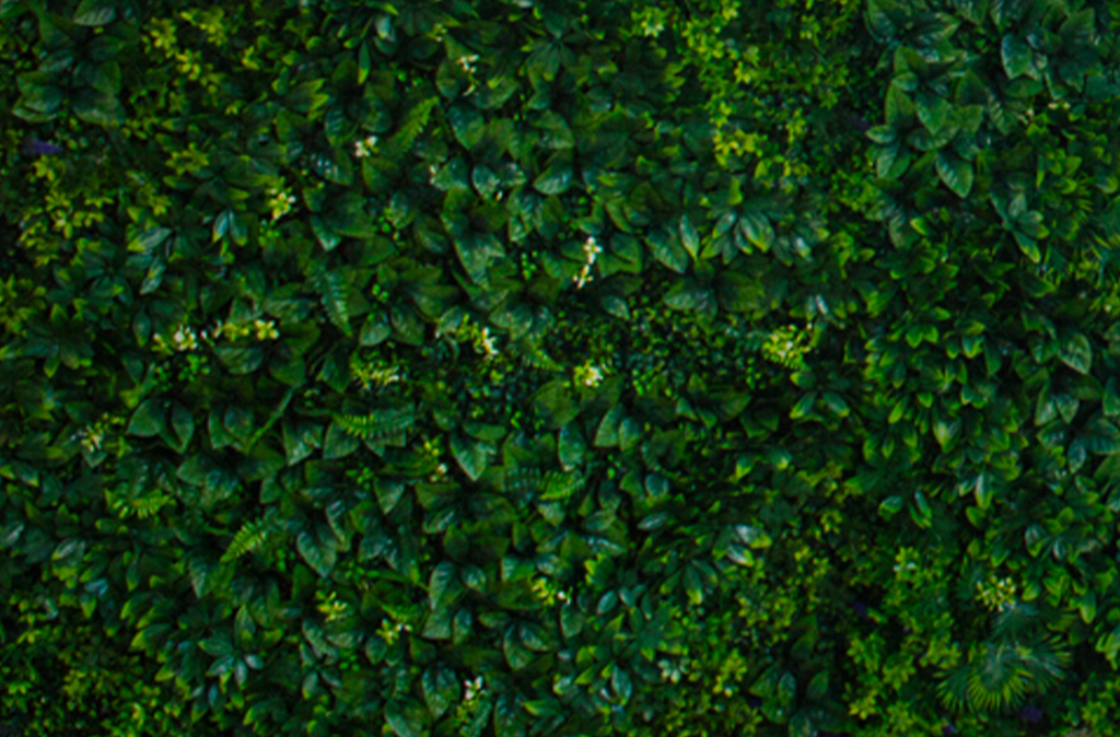 4 METER STRAIGHT BAR - Ace Bar Events